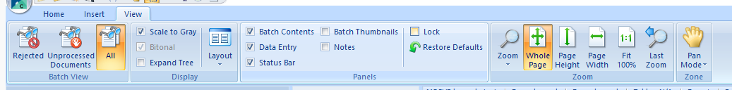 How To Retain The Zoom Type In Kofax Capture Validation